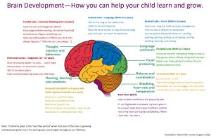 Brain development – how to help your child learn and grow | More Good ...