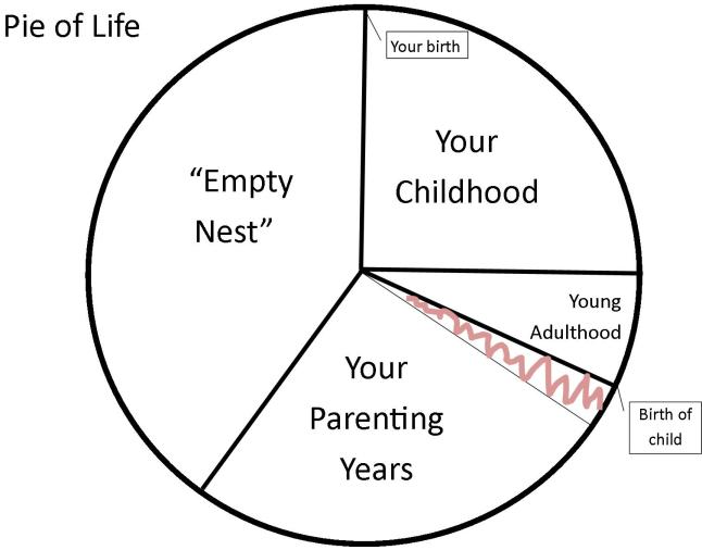 Pie of Life: Is your life in balance? | More Good Days with Kids